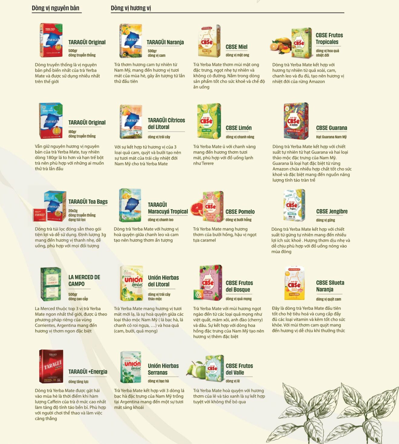 Trà Yerba mate là gì? - sanphamtot.vn