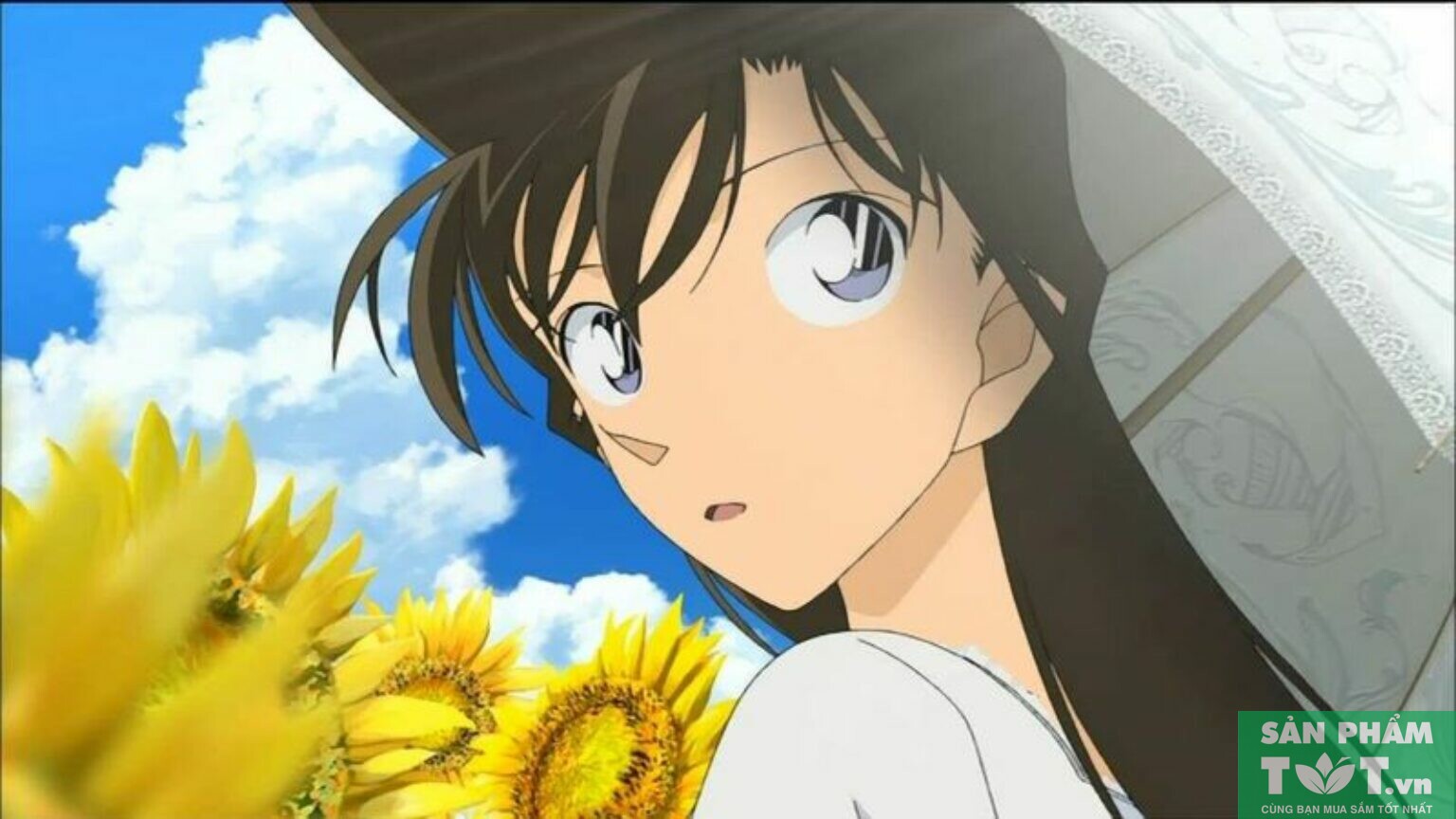 Tóm tắt cốt truyện Conan và các nhân vật chính tại đây!